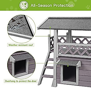 Cat House with Door for Feral Cats, Rainproof Outside Kitty House, 2 Story Wooden Kitten Condo with Stairs (AIR09-BS)