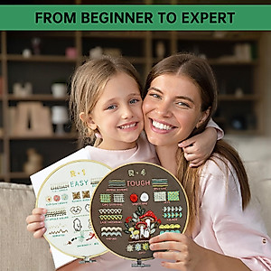 CYANFOUR 4 Stage Embroidery Kit for Beginners Adults, Easy to Learn 38 Different Stitches from Instruction & Video, Needlepoint Kits for Adults with Stamped Embroidery Patterns.