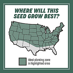 Pennington Kentucky 31 Tall Fescue Grass Seed 20 lb