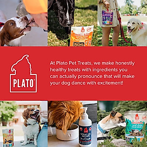 PLATO Turkey Real Strips Natural Dog Treats - Real Meat - Air Dried - Made in the USA - Turkey & Sweet Potato, 6 ounces