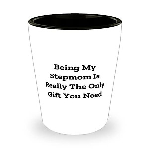 Useful Stepmom, Being My Stepmom Is Really The Only You Need, Mother's Day Shot Glass For Stepmom