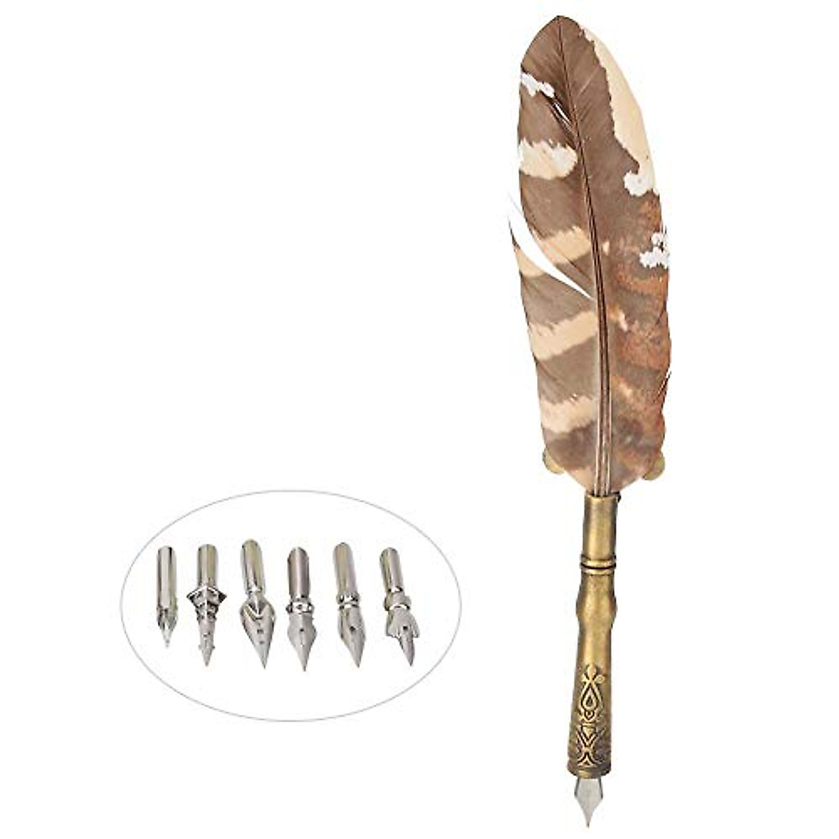 Quill Dip Pen, European Retro Feather Dip Pen Set 5 Replaceable Nibs Calligraphy Writing Pen