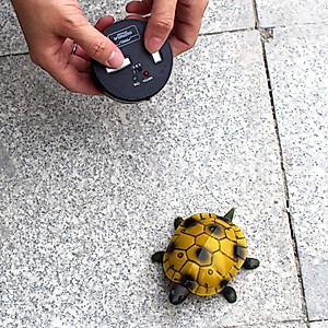Tipmant RC Turtle IR Remote Control Tortoise Crawl Fake Electric Animal Toy Car Vehicle for Kids Birthday Gifts (Brown)