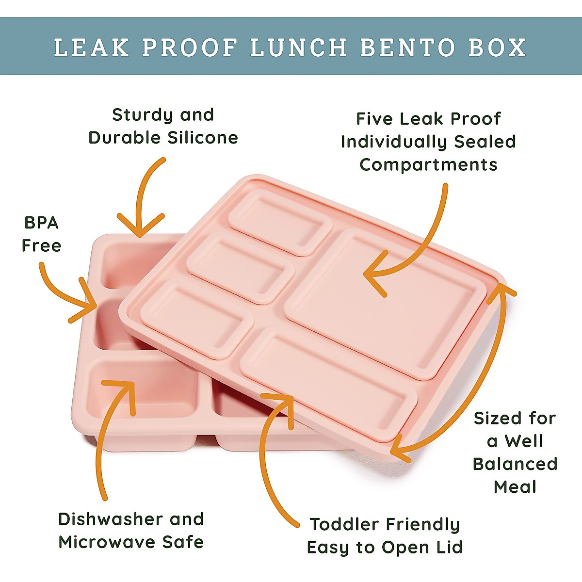 Austin Baby Co Leak-Proof Bento Lunch Box for Kids – Silicone Kids Lunch Container with 5 Leakproof Compartments – Food-Safe Materials, Sturdy, Dishwasher Safe, and BPA Free