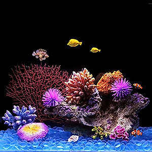 Danmu 1Pc of Polyresin Coral Ornaments, Aquarium Coral Decor for Fish Tank Aquarium Decoration 5.11" x 3.93" x 2.75"