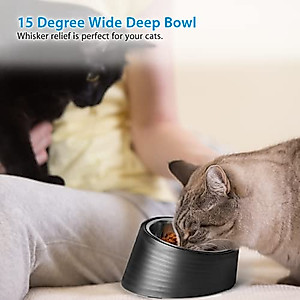 UPPETLY Tilted Angle Stainless Steel Dog Bowl, 15° Slanted No Spill Non-Skid Cat Food Bowl, Stress Free Food Grade Material Feeder for Pets Puppy Small Medium Dogs Black