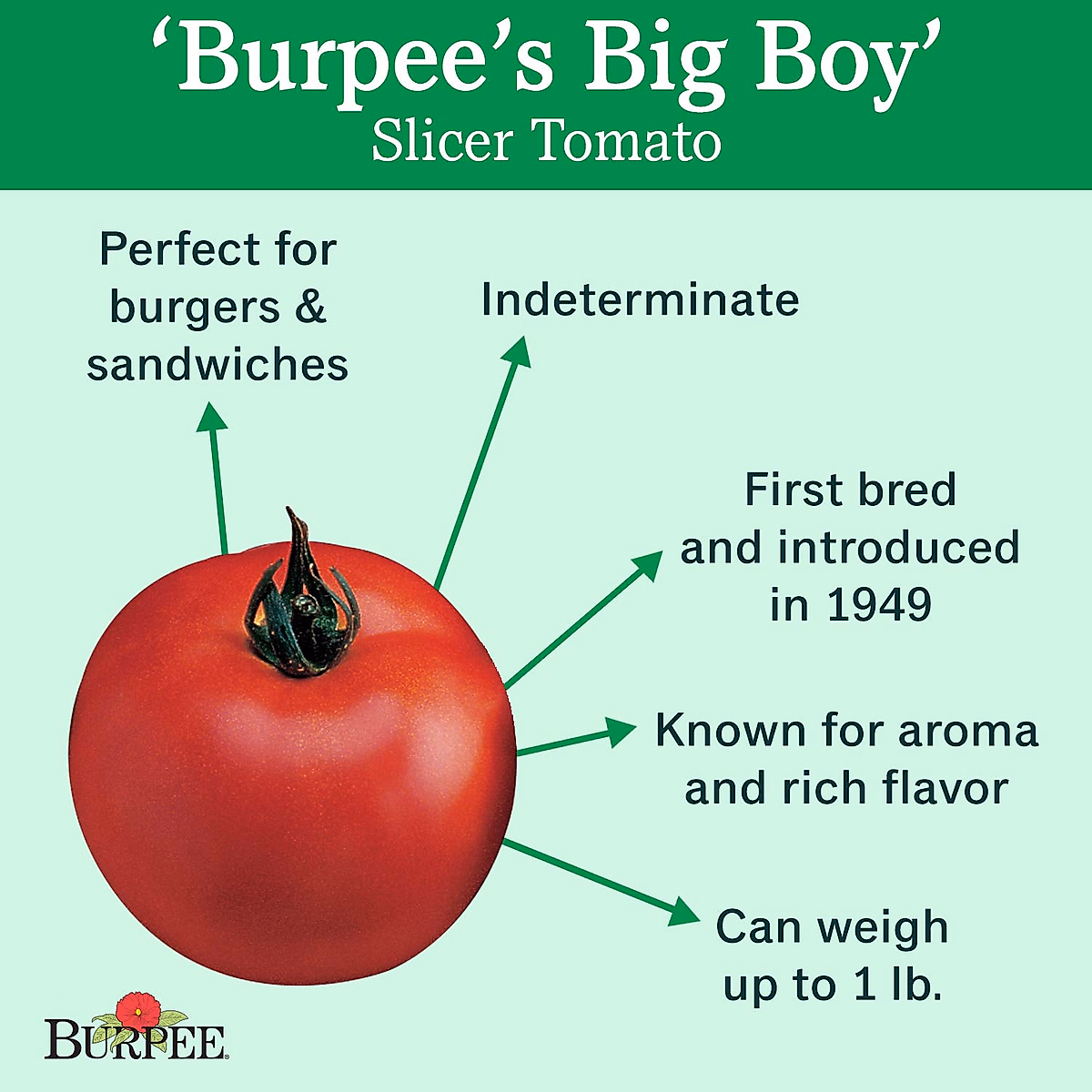 Burpee 61234E Big Boy Tomato, 125 seeds, Red