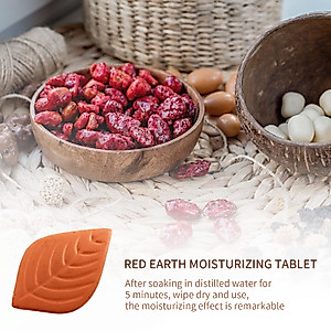 10pcs Brown Sugar Keeper Saver Softener for Keeping Moist Fresh Terra Cotta Brown Sugar Saver Kitchen Gadgets Food Storage Containers Leaf Design