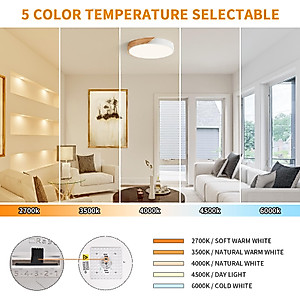 Peblto Modern Dimmable White LED Ceiling Light, 2700K-6000K 5CCT Wood Flush Mount Ceiling Lighting Fixtures, Minimalist Round Ceiling Lamp for Living Room Bedroom Kitchen Hallway