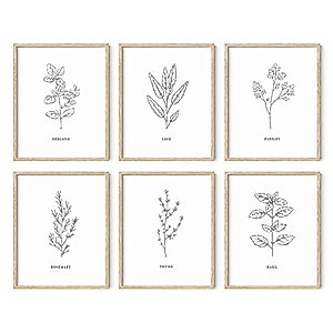 HAUS AND HUES Kitchen Herbs Wall Art Decor for Kitchen Herb Art Prints and Kitchen Signs Wall Decor | Herb Prints Kitchen Wall Art Kitchen Prints for Wall Herb Decor (8"X10" UNFRAMED)