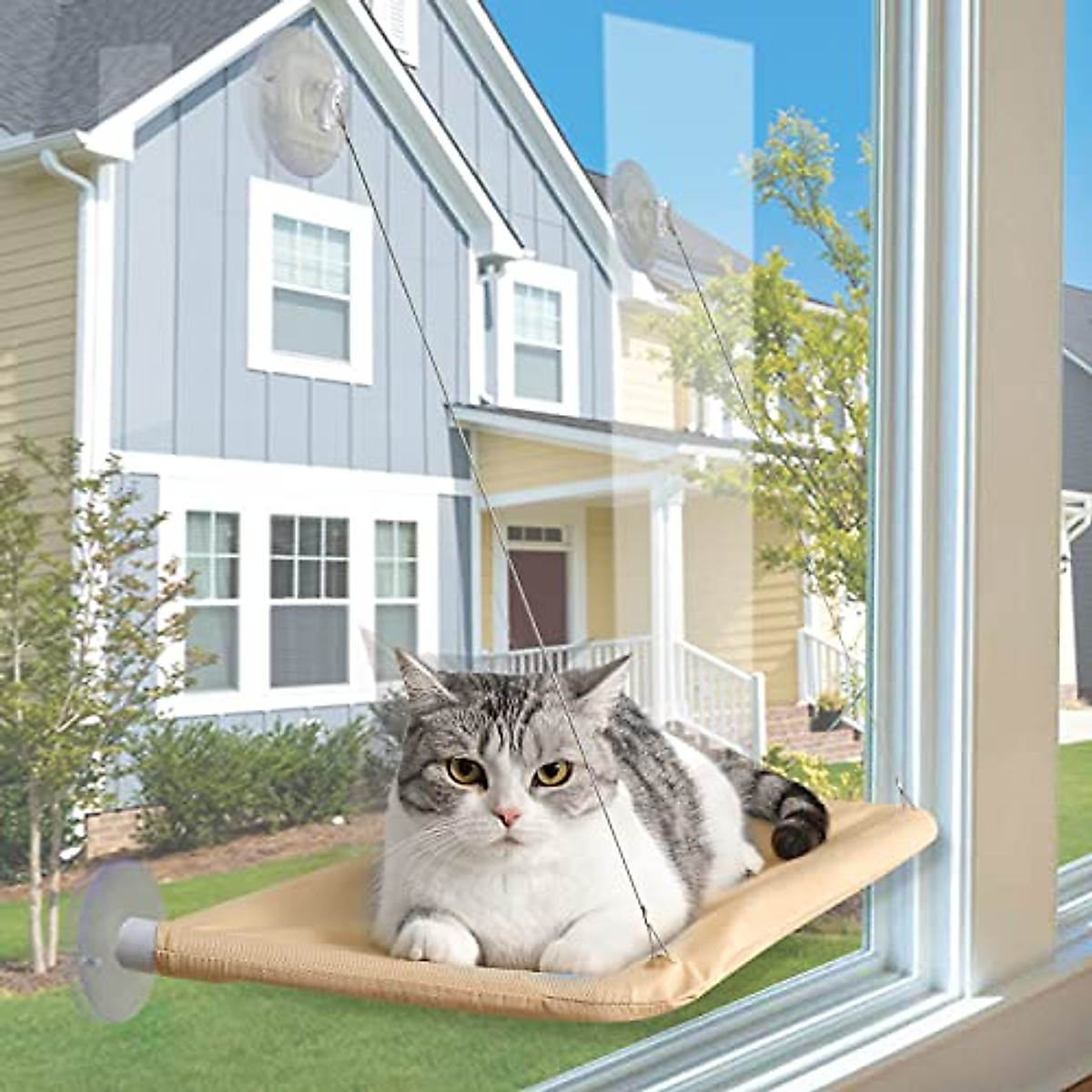 NOYAL Cat Window Perch Seat Hammock Strong Suction Cups Holds Up to 30lbs
