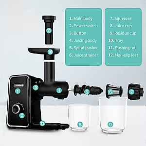 IWODTECH Juicer Machine, Cold Press Juicer with 2 Speed Modes, Slow Masticating Juicer Vegetable and Fruit, Celery Juicer, BPA-Free, Easy to Clean, Black