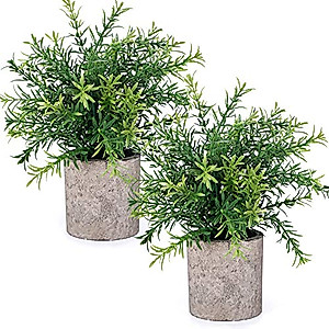 CEWOR 2 Pack Artificial Plants Mini Potted Plants Fake Bamboo Leaves Faux Rosemary Small House Plants for Home Office Desk Room Decor