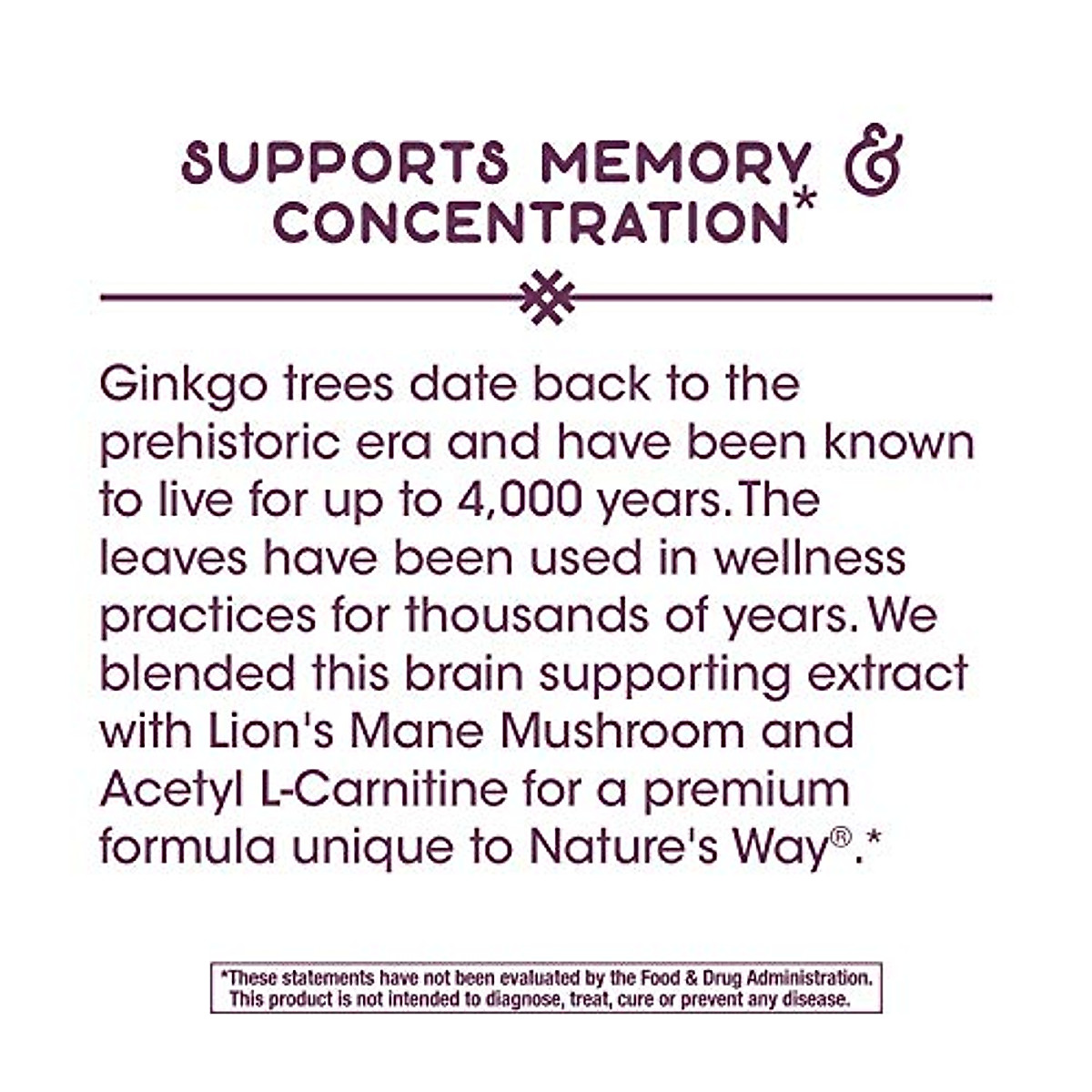 Nature's Way Cognitive Focus, with Gingko, Lion's Mane & Acetyl L-Carnitine, 270 mg per Serving, 30 Capsules