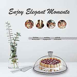 Glass Cake Stand with Dome - Footed Glass Service Plate, Large Size (12 inch), Footed Cake Plate Wıth Dome, Multifunctional Serving Platter, Durable Glass