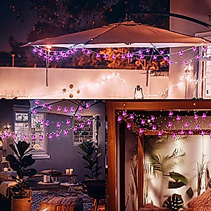 ENSHUI Solar String Lights Outdoor Waterproof 21 ft 30 LED Pink Flamingo Garden Lights 8 Lighting Modes Fairy Lights String Patio Lights Terrace Camping Christmas Decoration (Flamingo)