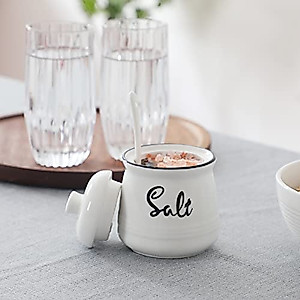 HAOTOP Farmhouse Porcelain Salt Bowl with Lid and Spoon 12oz,Easy to Clean (White)