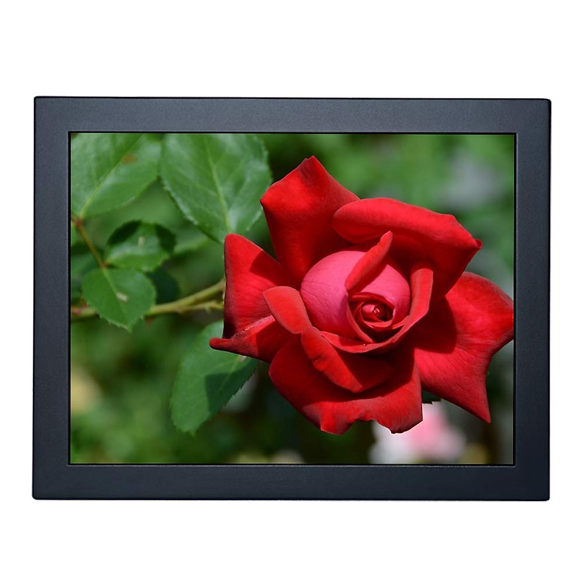 iChawk 12.1'' inch Monitor 800x600 4:3 AV BNC HDMI-in Built-in Speaker Remote Control LCD Screen for Industrial Equipment, PC Display with USB Interface Small Video Player Pluggable U-Disk W121MN-591
