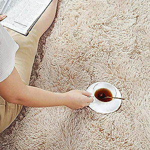 Toneed Fluffy Bedroom Rug, 4 x 6 Feet Shaggy Area Rug Modern Furry Rug Plush Fuzzy Carpet for Living Room Drom Kids Room Nursery Kindergarten Home Decorative, Beige
