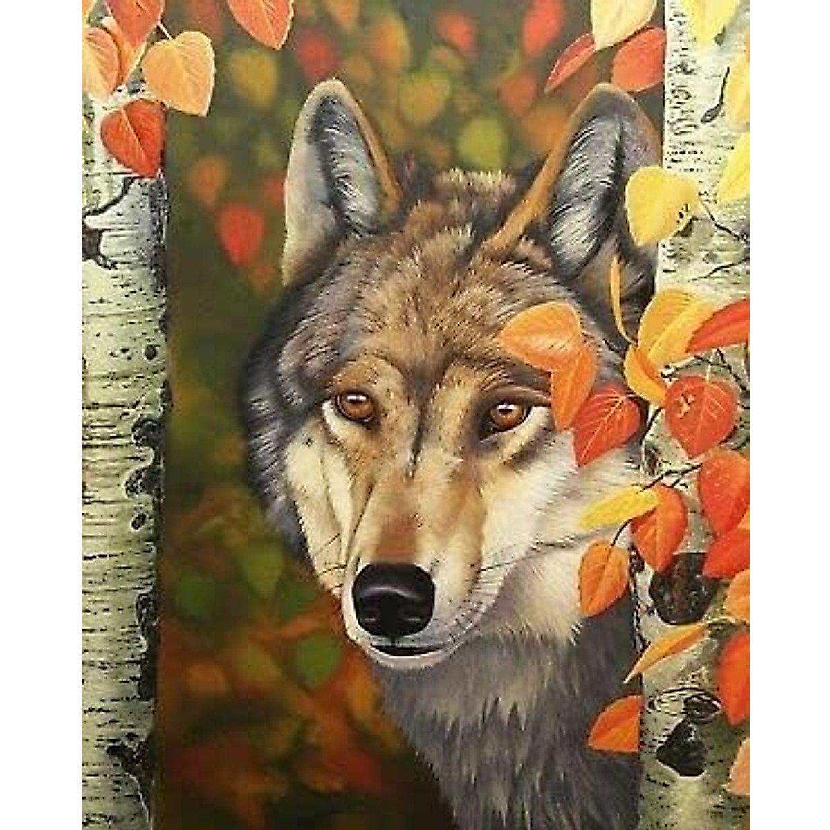 Wolf in The Aspen Trees At Fall Colorful Time, Cotton Fabric Panel Size 36 X 44 Inches David Textiles 3980, Brown