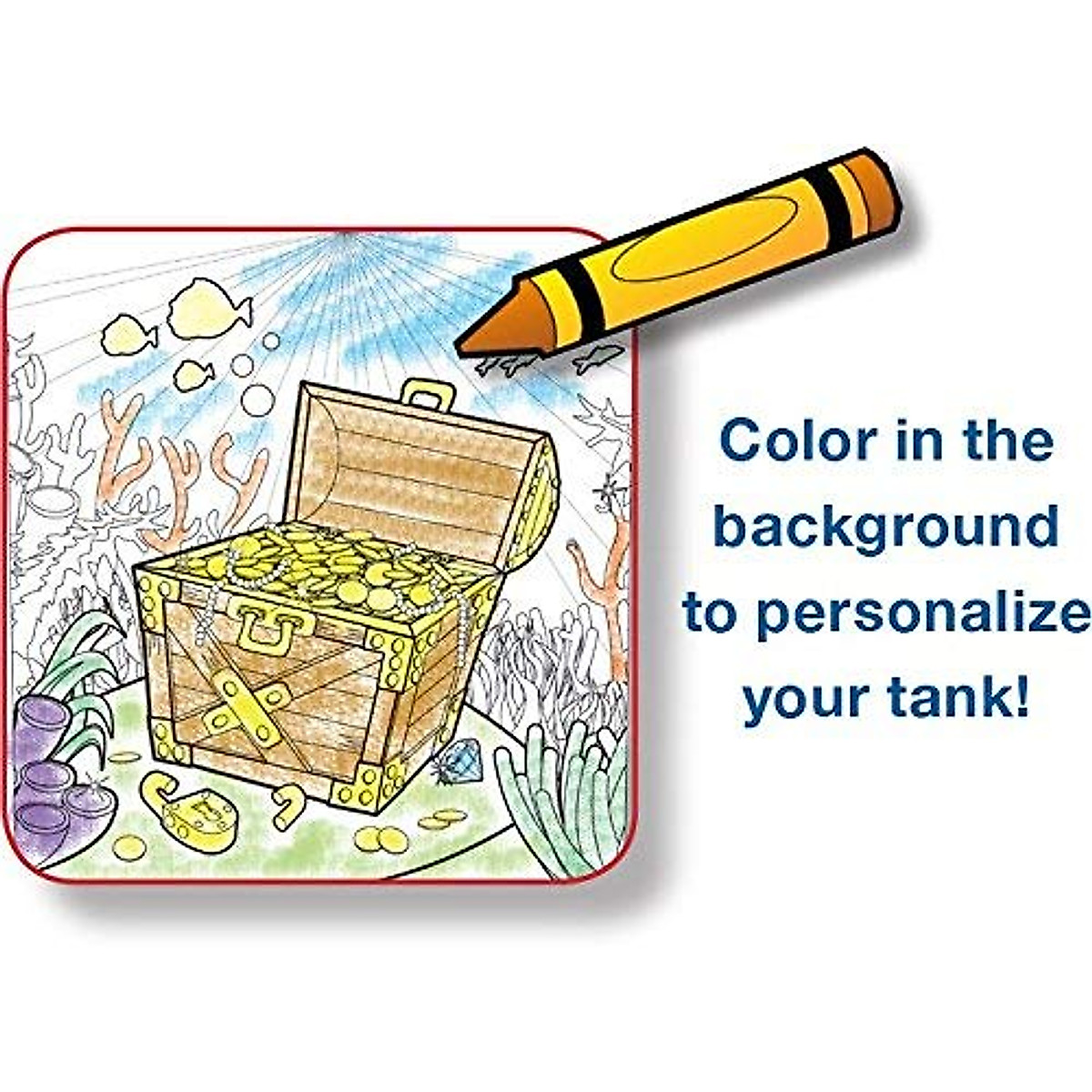 PENN-PLAX Rite-Bite Educational Betta Tank – A Perfect First Aquarium for Children with Adult Supervision – 1.13 Gallon