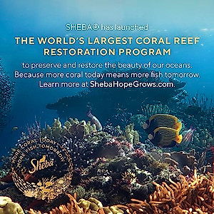 SHEBA PERFECT PORTIONS Paté Adult Wet Cat Food Trays (24 Count, 48 Servings), Signature Seafood Entrée, Easy Peel Twin-Pack Trays