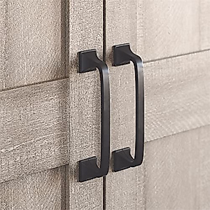 Sauder Miscellaneous Storage Spring Maple Two-Door Storage Cabinet, Spring Maple Finish