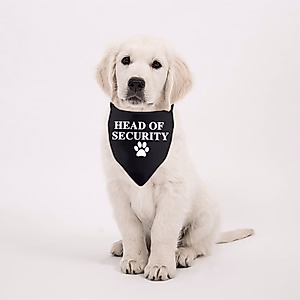 1 Piece Head of Security Dog Bandana Pregnancy Announcement Dog Parent Gift Baby Security Dog Bandana (Head of Security Black)