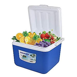 HESNDxbx Mini Fridge 13L Car Insulation Preservation Box Car Cooler Box Ice Organizer Medicine Preservation Home Barbecue Fishing Multifunctional