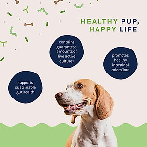 Good Trouble Pets Probiotic Supplement for Dogs - Chicken Flavor, 30 Chews - Enhanced Digestive Support