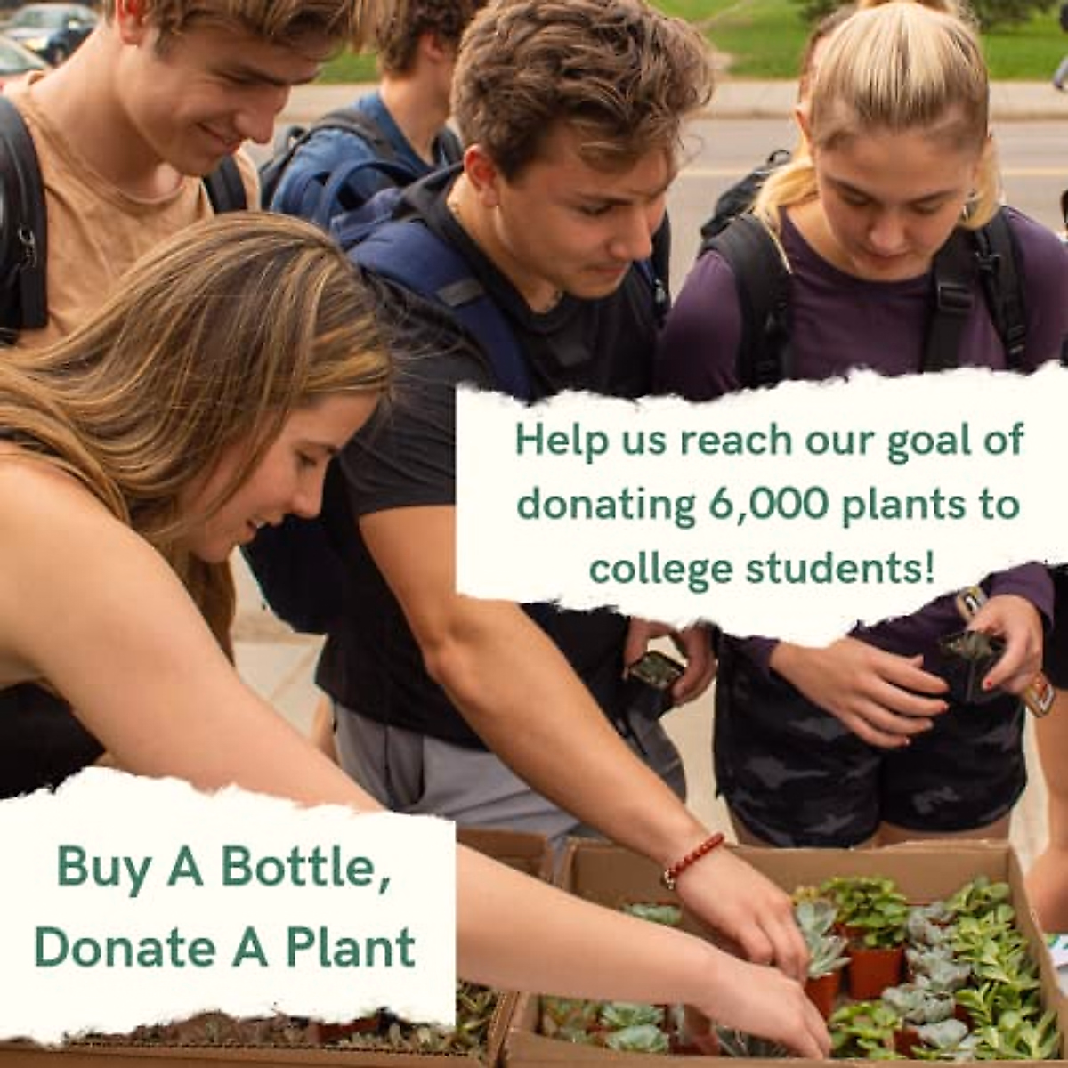 Perky Plant | Water Soluble Organic House Plant Food Fertilizer | Formulated for Live Indoor House Plants | Simply Shake in Watering Can or Plant Pots