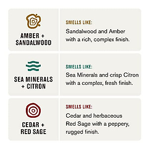 Every Man Jack Men’s Antiperspirant Deodorant Variety Set - Stay Fresh with Antiperspirant Men’s Deodorant - Odor Crushing, Long Lasting, Plant-Based, and No Harsh Chemicals - 2.6 oz - 3 Pack