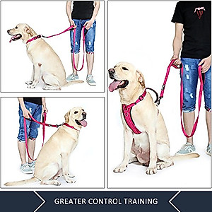 Pioneer Petcore™ Dog Leash 6ft long,Traffic Padded Two Handle,Heavy Duty,Reflective Double Handles Lead for Control Safety Training,Leashes for Large Dogs or Medium Dogs,Dual Handles Leads(Pink)