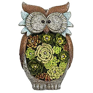 Solar Lamp Garden Owl Succulent Plants Ornamental Garden Statues Warm White Lights with Slow Flash Decoration Birthday Gift Resin Craft Outdoor Spring Decorations for Patio Yard Lawn Porch Ornament