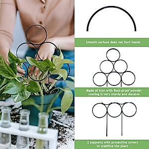 LONCHDAN Trellis for Climbing Plants Indoor 15.7 Inch, Stackable Garden Trellis for Potted Plant Support, 3 Pack Small Houseplant Metal Wire Trellis for Vines Pothos Rose Monstera Accessories (Black)