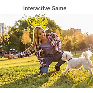 SUNKYPUP Hedgehogz Squeaky Dog Toy, Stuffed Plush Dog Toys for Small Medium Dogs (8 Inch (1 Pack))