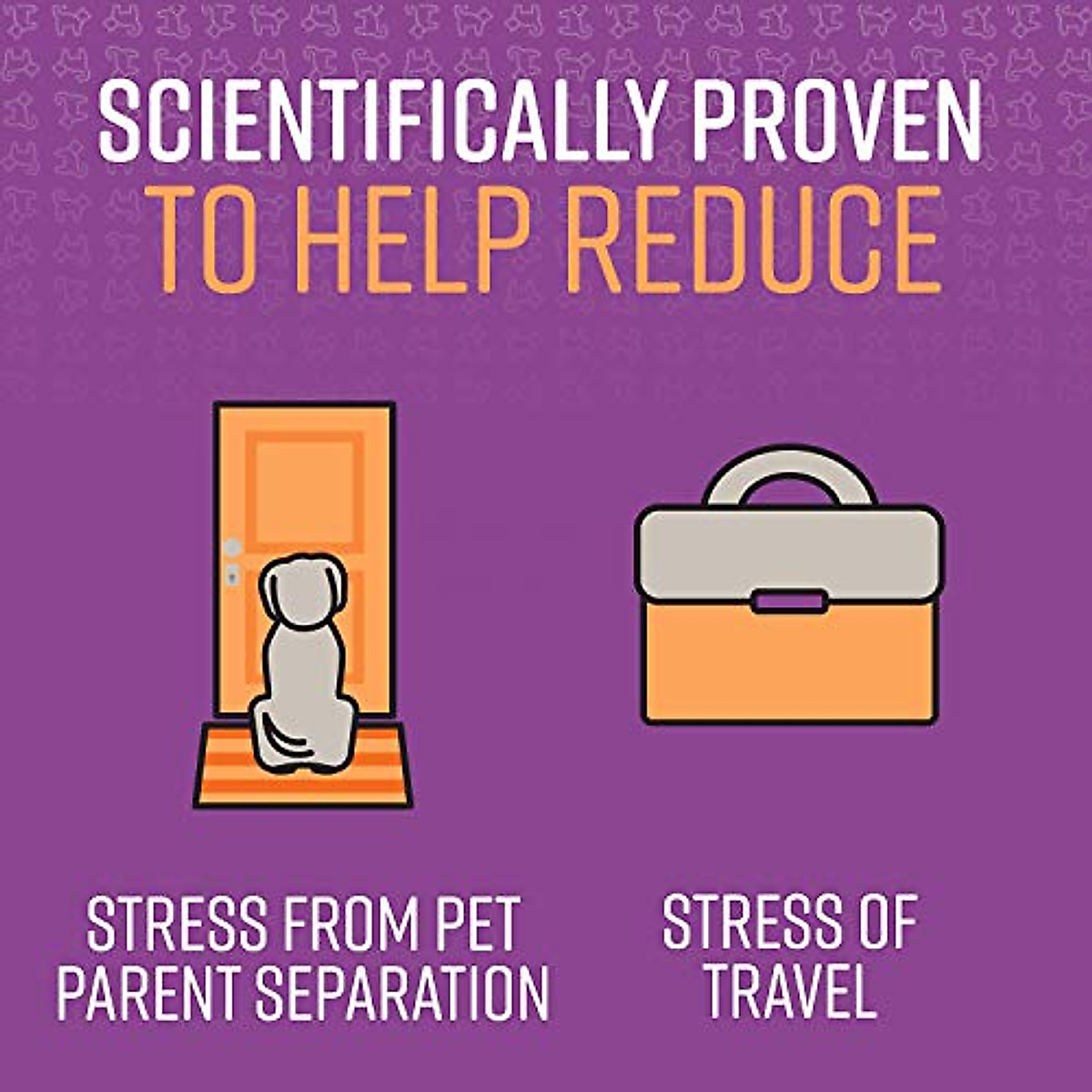 SENTRY PET Care Sentry Calming Spray for Dogs, Uses Pheromones to Reduce Stress, Easy Spray Application, Helps Dogs with Separation, Travel, Loud Noises, and Anxiety, Packaging May Vary