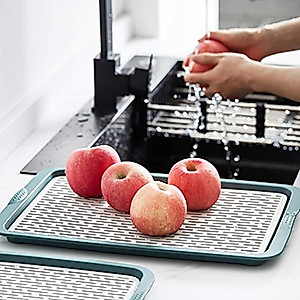 HEMOTON Food Drain Tray Japanese Style Drinks Dishes Utensil Drainboard Drying Plate Plastic Drip Holder Storage Rack for Home Kitchen 29X19. 7CM