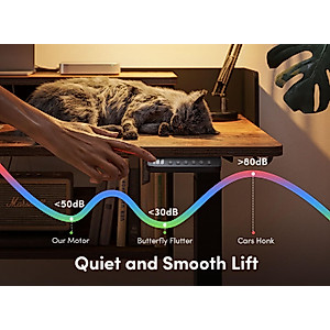FEZIBO 55" Electric Standing Desk with Shelves, 55 x 24 Inch Sit Stand Rising Desk with Monitor Stand and Storage, Ergonomic Home Office Computer Desk, Rustic