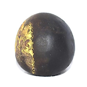 Rare Pitambara Shaligram - Gandaki River Nepal