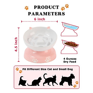 Y YHY Ceramic Slow Feeder Cat Bowl, Elevated Cat Bowl Tilted Design Slow Feeder for Dog and Cat for Dry and Wet Food, Pink