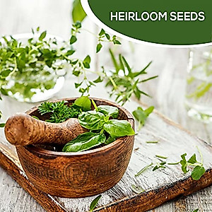 Medicinal and Tea Herb Seeds Collection - Over 4,500 Heirloom and Non GMO Garden Seeds for Planting Indoor, Outdoor & Hydroponic - Includes Basil, Lemon Balm, Chamomile, Lavender, and More
