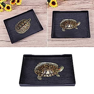 Ipetboom Reptile Water Dish 1Pc Reptile Food Bowl, Tortoise Habitat Accessories Pets Feeding Plate Reptile Feeding Bowl Pet Breeding Tray for Reptile and Amphibian, 24.5x18x2cm Turtle Water Bowl