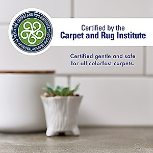 Rocco & Roxie Stain & Odor Eliminator for Strong Odor - Enzyme Pet Odor Eliminator for Home - Carpet Stain Remover for Cats and Dog Pee - Enzymatic Cat Urine Destroyer - Carpet Cleaner Spray