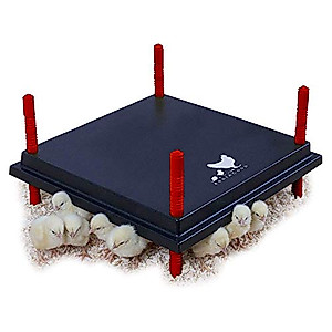 RentACoop Chick Brooder Heating Plate and Anti-Roost Cone Set- Brooder Heat Plate Warms Up to 30 Chicks - Chick Heater with 25 Adjustable Heights and 42 Watts - Safer Than to Heat Lamps - 16" x 16"