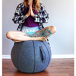 Vivora Luno Exercise Ball Chair, Canvas & Felt for Home Offices, Balance Training, Yoga Ball