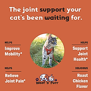 Glucosamine for Cats - Cat Glucosamine - Glucosamine for Cats Liquid - Cat Joint Supplement - Joint Supplement for Cats - Cat Joint Pain Relief - Joint Support for Cats - 1 fl oz - Chicken Flavor
