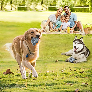 Homipooty Dog Chew Toys for Aggressive Chewers, Indestructible Dog Toys for Large Dogs Tough Durable Squeaky Interactive Dog Toys, Teeth Chew Toy for Meduium Large Breed Dog Birthday Toys