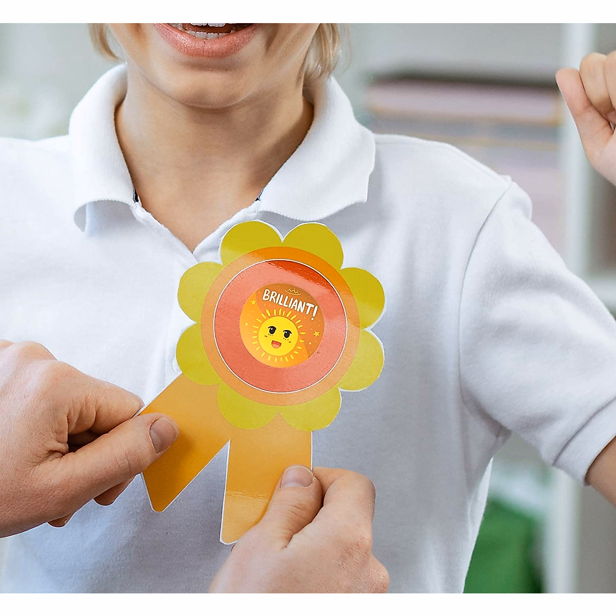 Reward Stickers for Kids by Sweetzer & Orange - 1008 Stickers, 8 Assorted Designs, 1 Inch School Stickers - Teacher Supplies for Classroom, Potty Training Stickers and Motivational Stickers