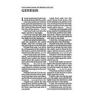 Personalized KJV Large Print Personal Size Reference Bible, Charcoal Leathertouch, Indexed, Red Letter, Cross-References, Full-Color Maps, Custom Name Imprint, King James Version (Indexed)